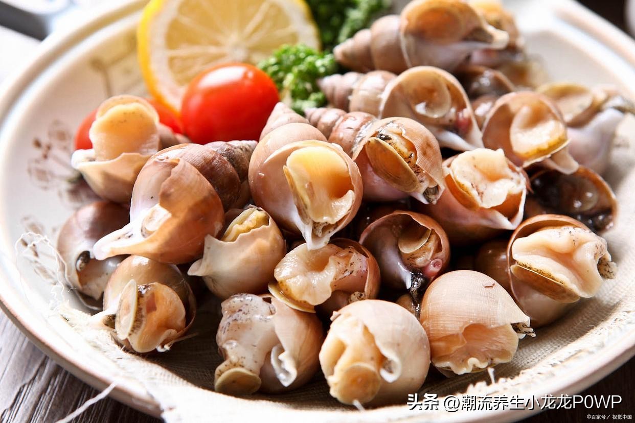 Exploring the cooking time of small conch: the perfect combination of ...