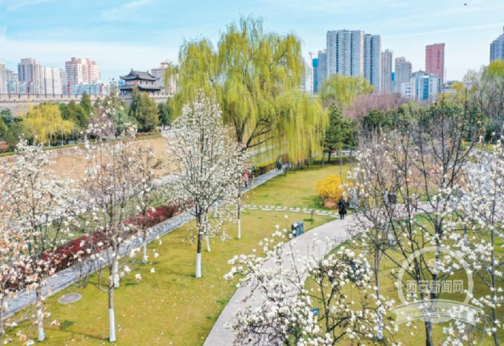 Spring comes to Chang'an, colorful, Xi'an Huancheng Park - iNEWS