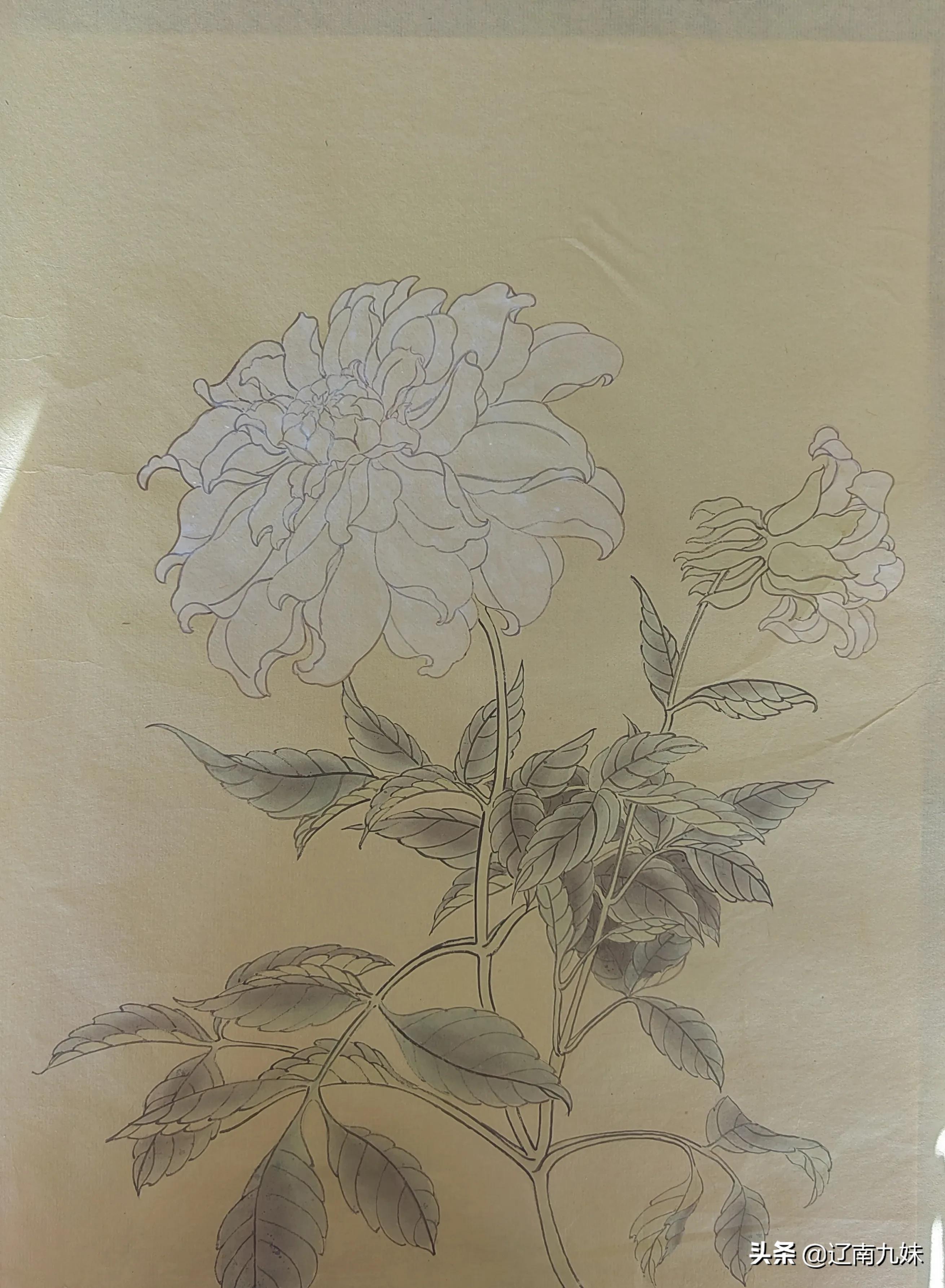 Drawing process of fine brushwork flowers - iNEWS