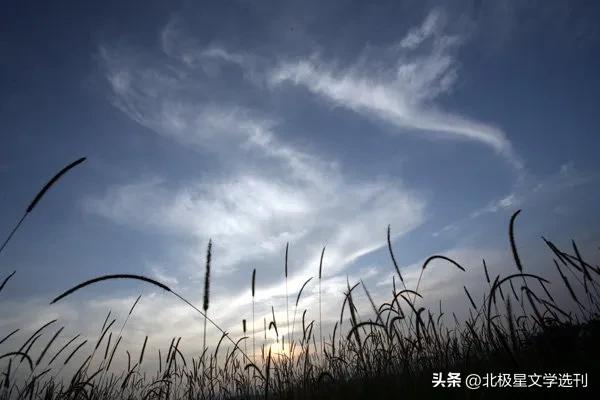 The Poetry of the Famous Poet Mu Bai: Another Life - iNEWS