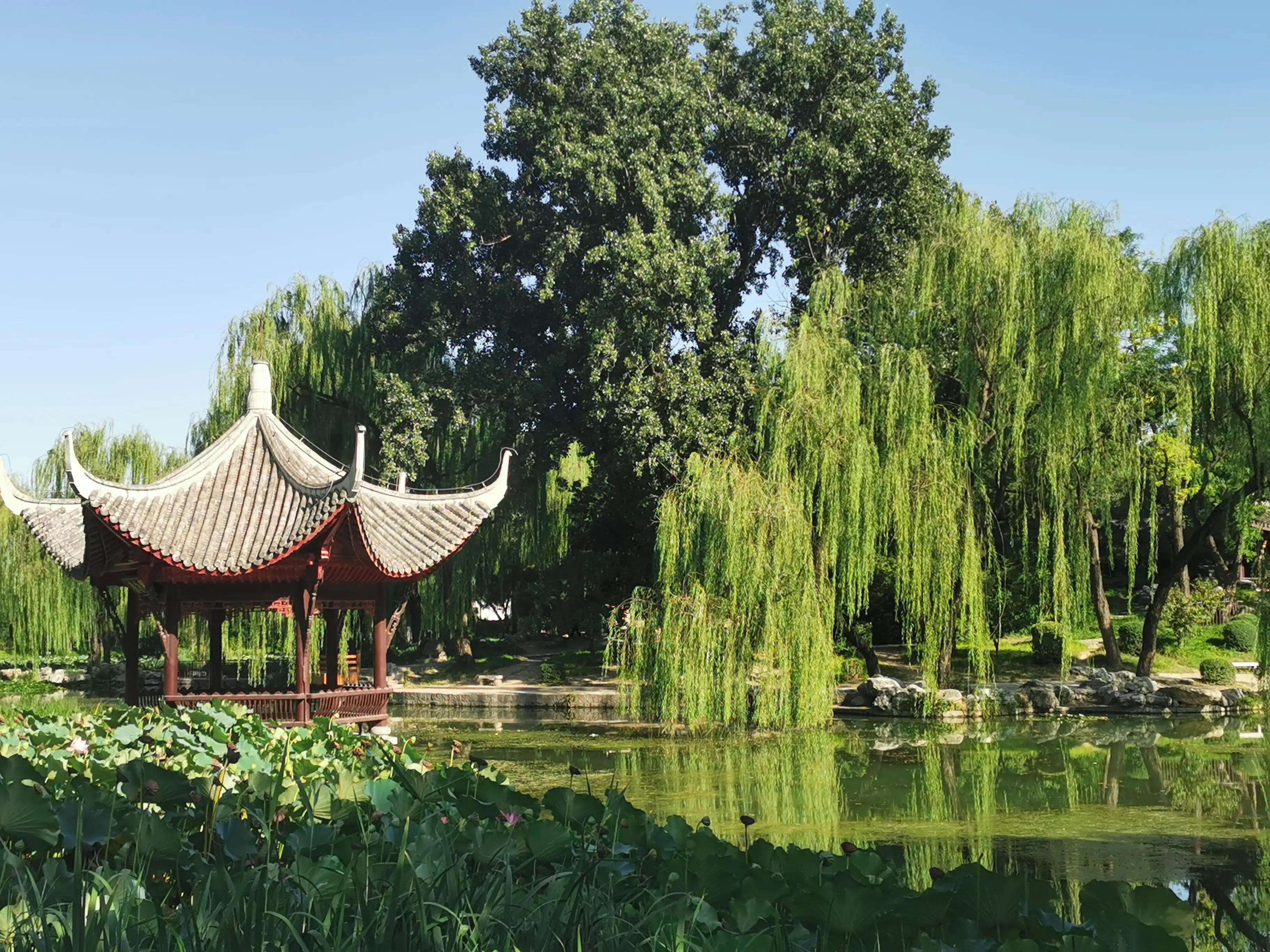 Autumn Tour Taoranting Pavilion - iNEWS