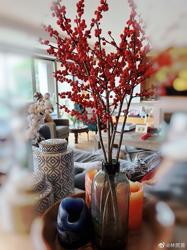 Lin Xilei's luxury mansion was exposed, a famous painting of more than ...