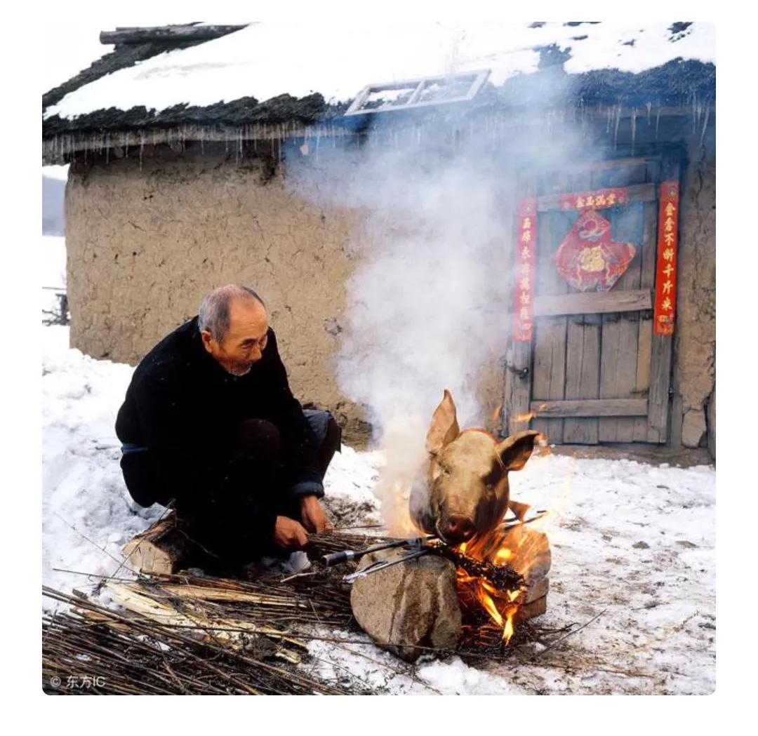 New Year's Eve Pork Head Meat - iNEWS