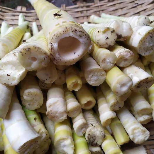 One of the delicacies of spring: spring bamboo shoots, fragrant and ...