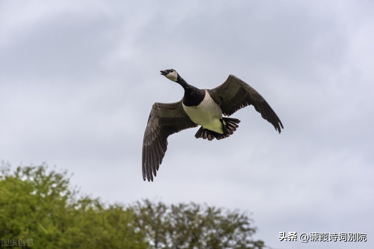 Everywhere in life knows what is like, it should be like Feihong ...