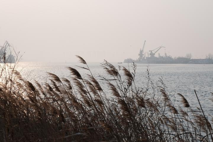 Yantai, sea of life - iNEWS