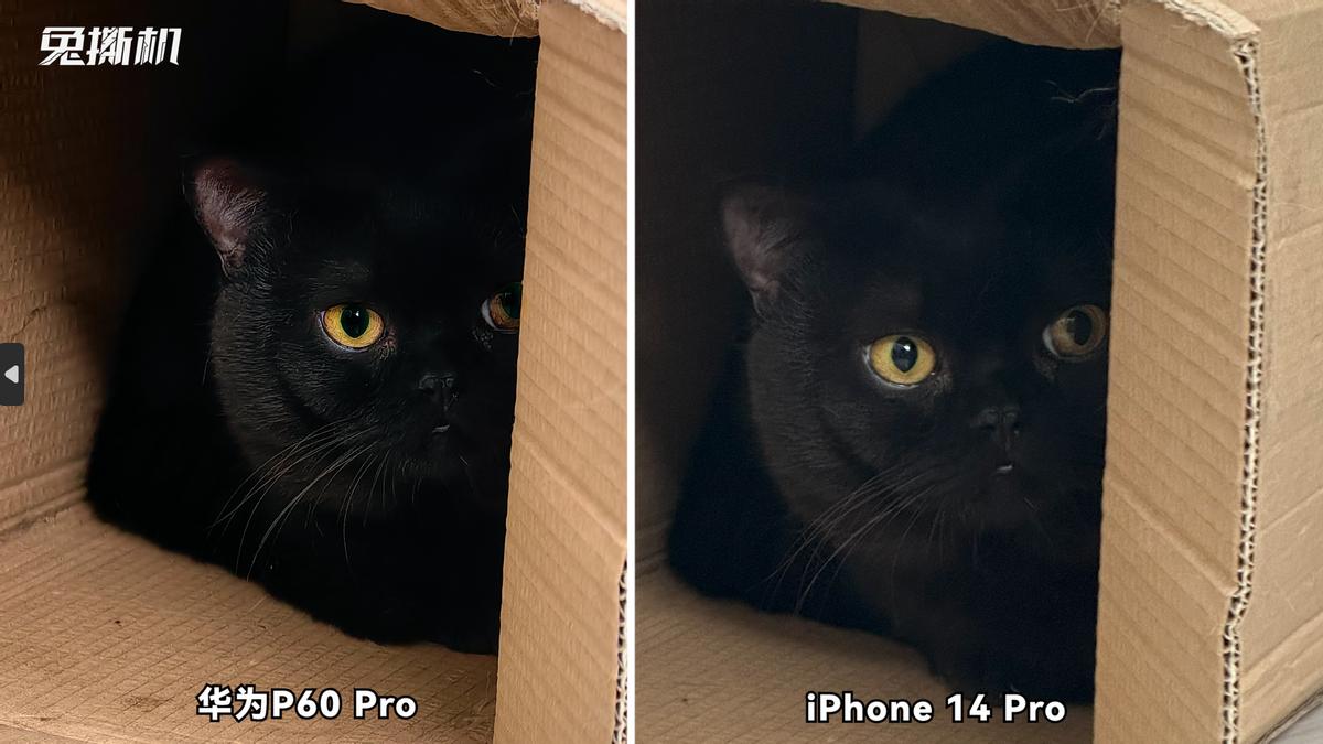 A must-have pet artifact for photographers, Huawei P60 Pro takes you ...