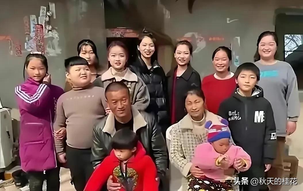 Looking at the whole story of Ye Ting's case, the cause of the tragedy ...