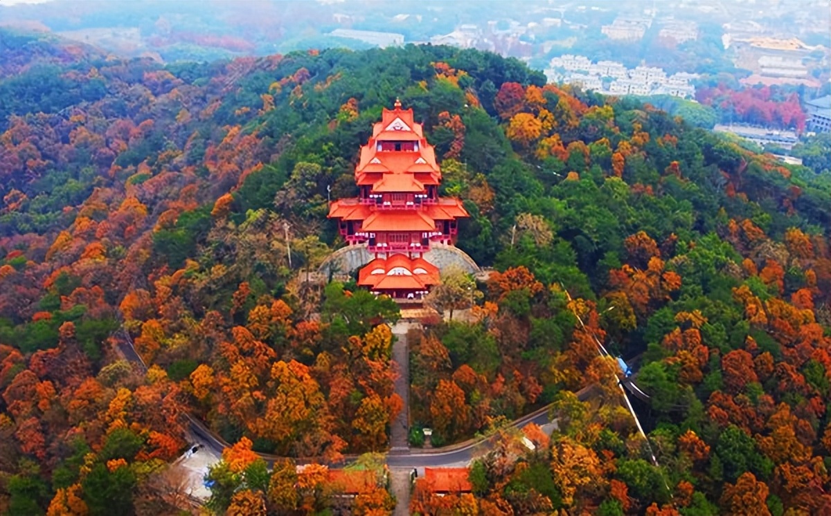 Don't be superstitious and hype, the mystery of the falling tree on the ...