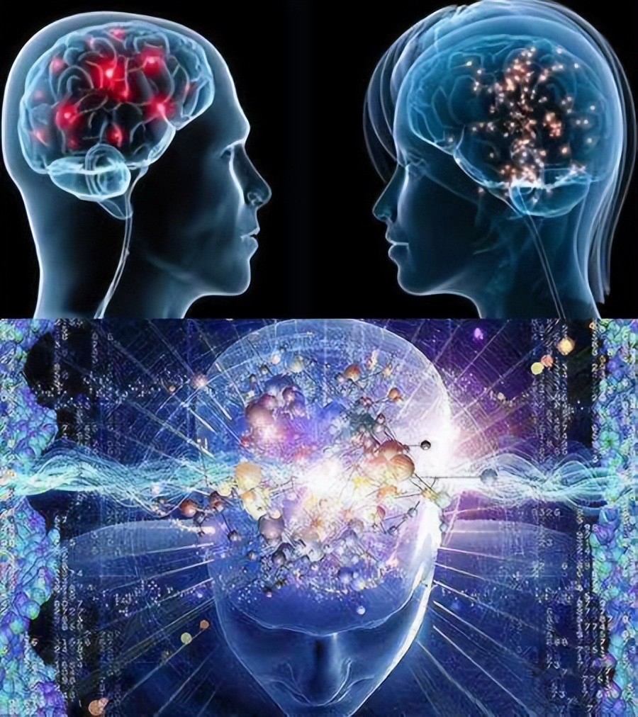 Can the human brain still evolve? What is the 90% of the undeveloped ...