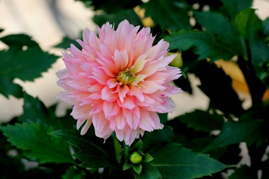 May: Hang in there, everything will be fine! - iMedia