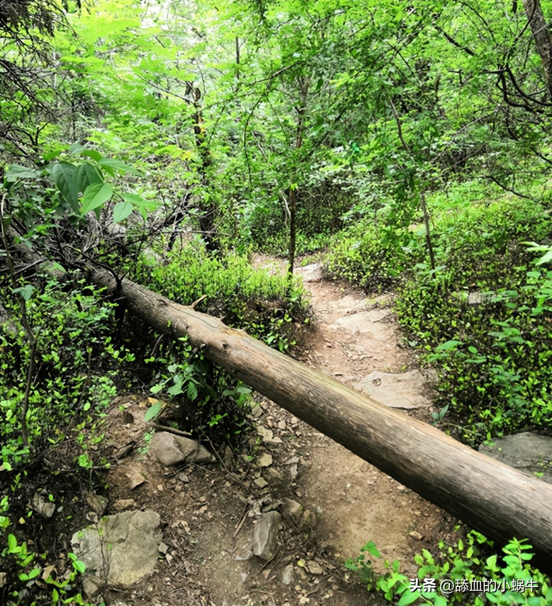 The most classic scenic spot in Jinan Longdong: the first launch of the ...