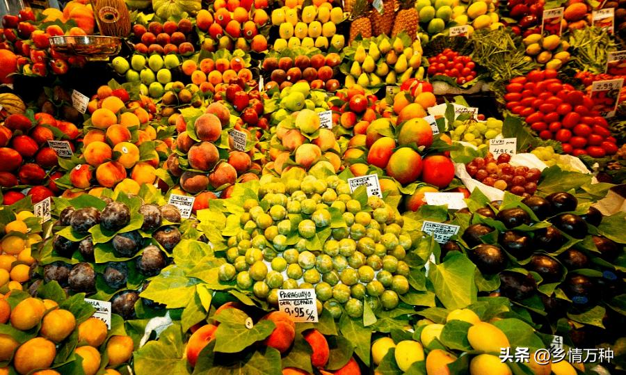 Taste Feast: Savor unique fruit flavors and flavors from around the ...