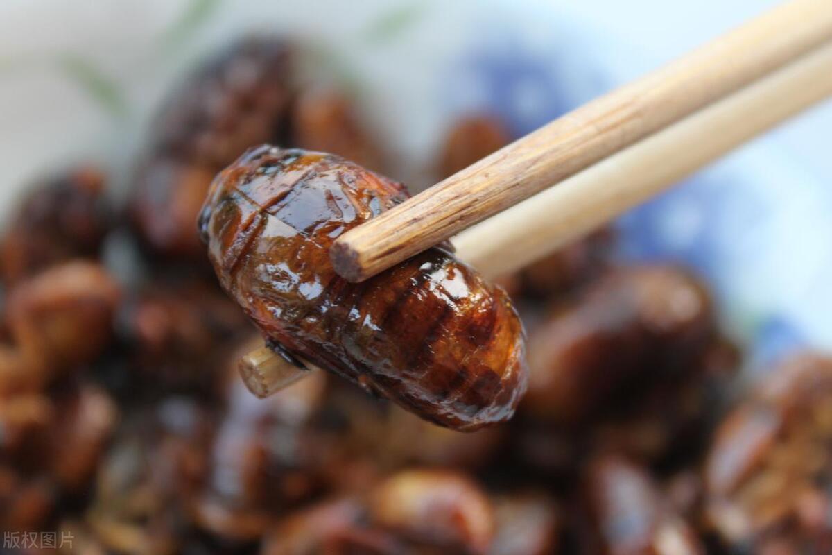 Local Food: Fried Cicada Monkey - iNEWS