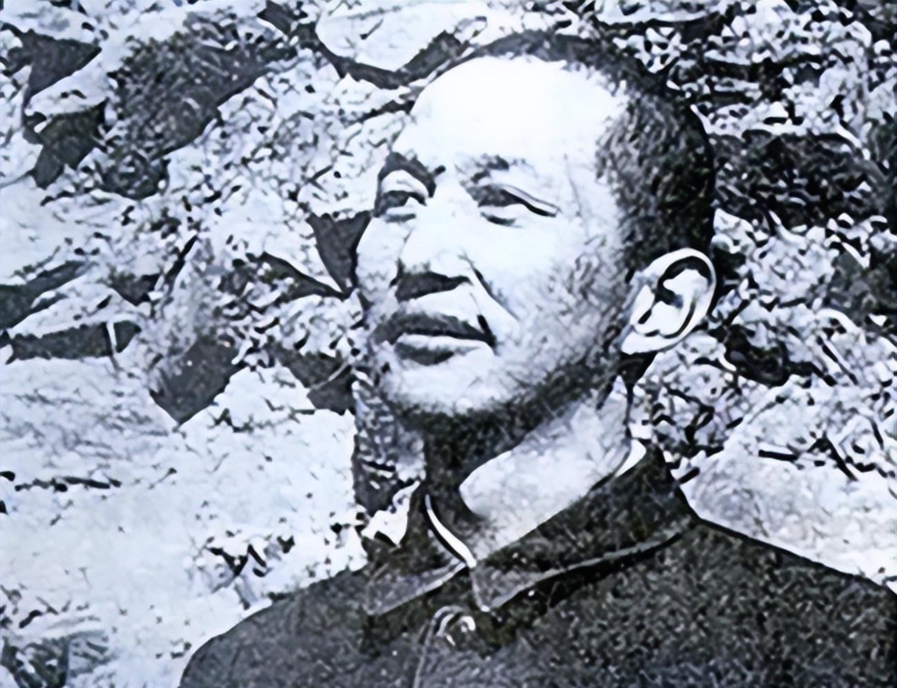 After Wang Zhen met Hong Xuezhi in 1978, he joked: Mr. Hong, you won't ...