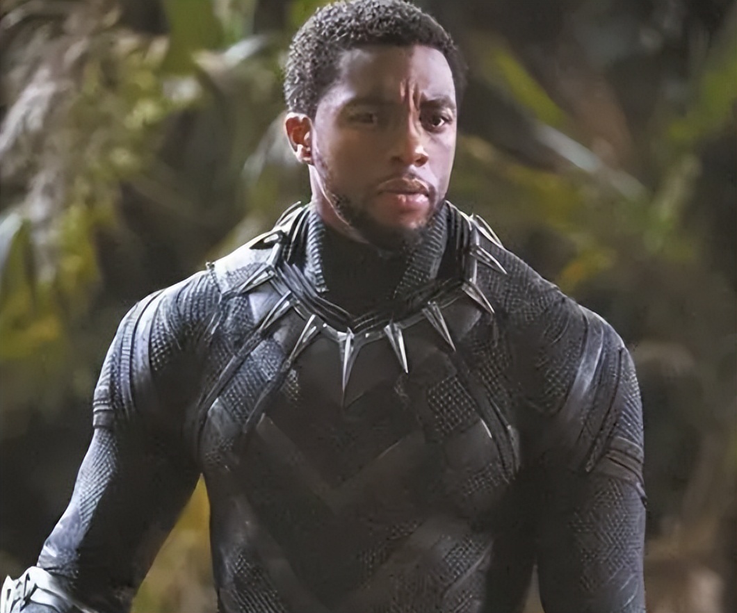 What happened to the actor who played "Black Panther" in the movie ...