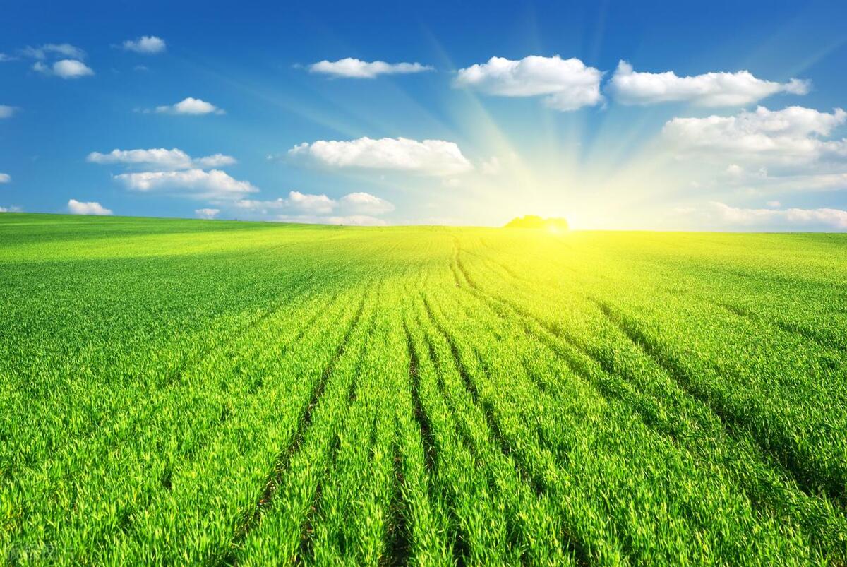 "Summer check-in season: a journey to explore paradise" - iMedia