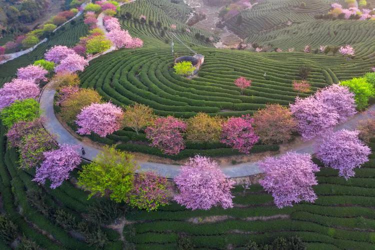 Step into nature, the scenery is infinite and beautiful - iNEWS