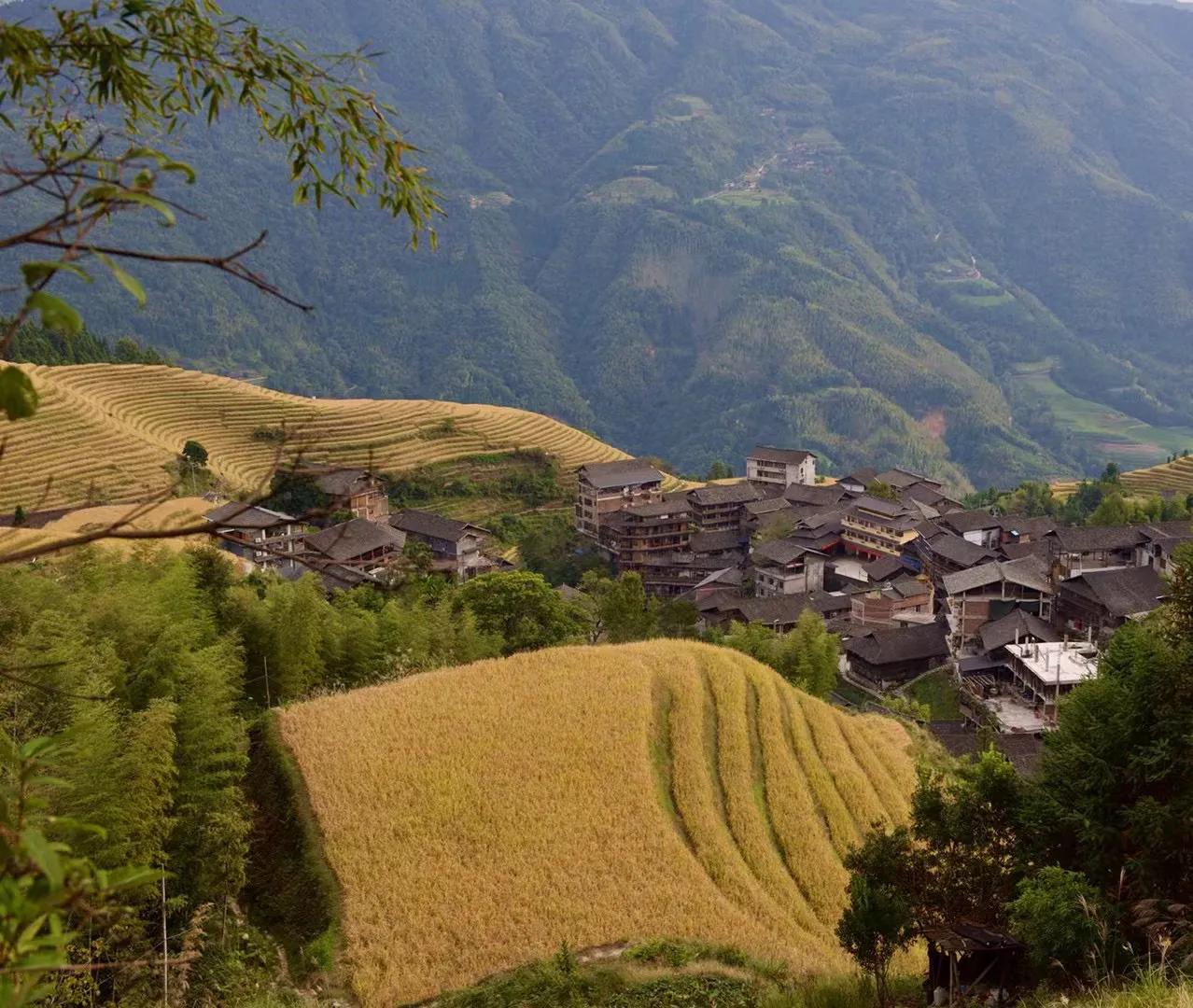 Longsheng Rice Terraces - iNEWS