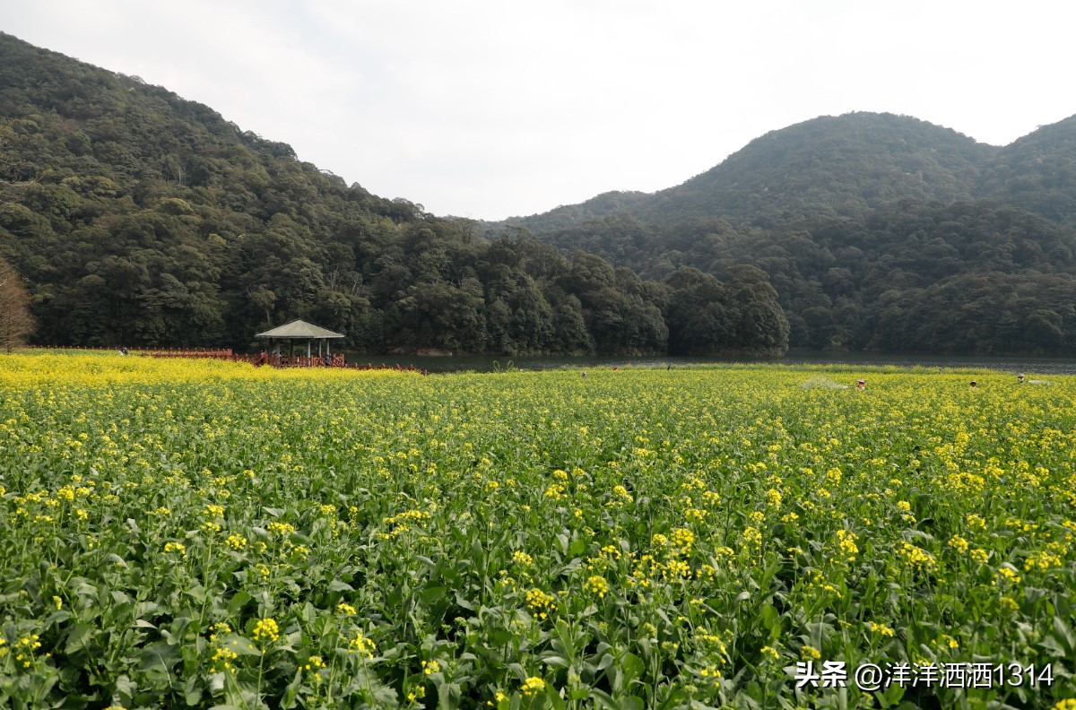Spring in Guangzhou, enjoying the natural scenery, history and culture ...