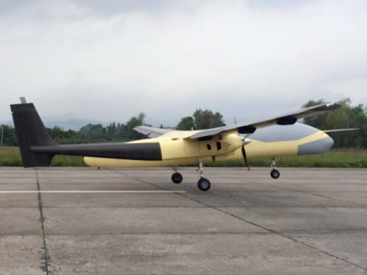 The domestic twin-tailed scorpion drone, which is called a twin demon ...