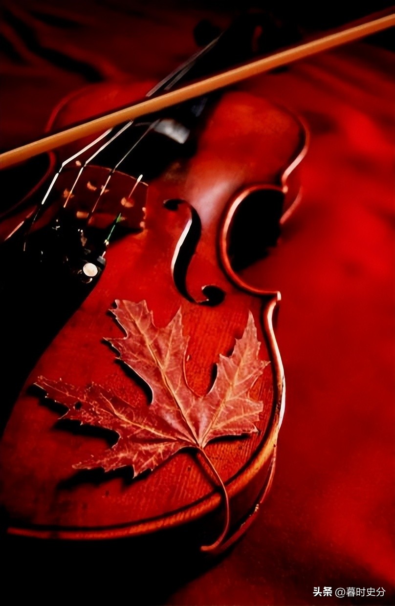 Facts have proved that "The Red Violin" reveals the cruelty of facts ...