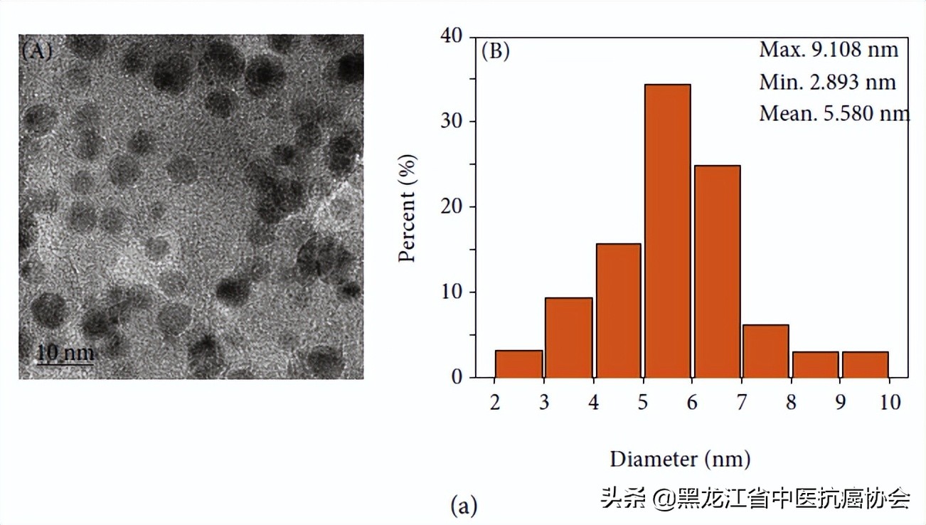 Carbon quantum dots trigger apoptosis in osteosarcoma 143B cell line ...