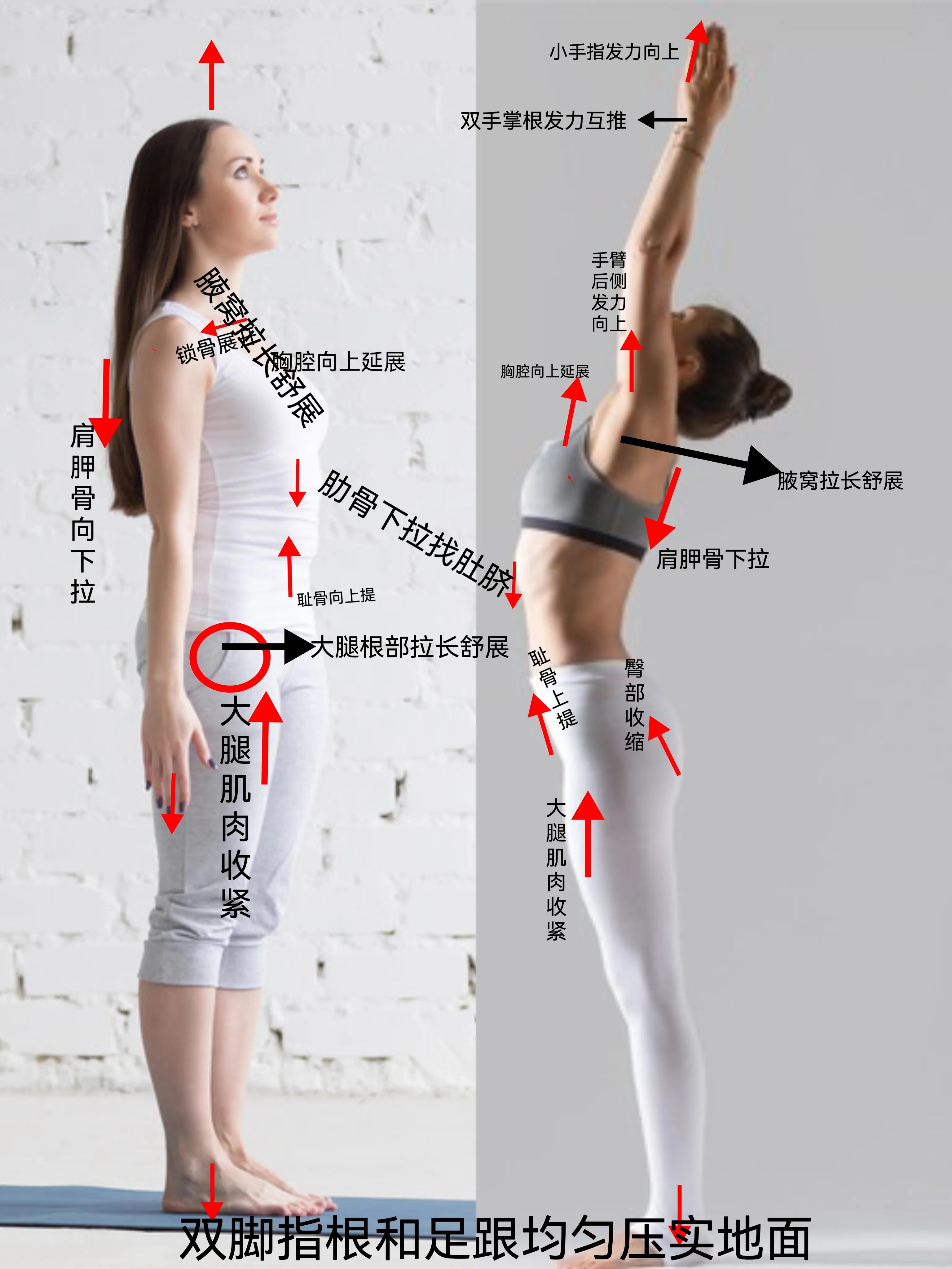 Ashtanga Yoga Sun Salutation A (Part 1): Raising Arms, Forward Bend ...