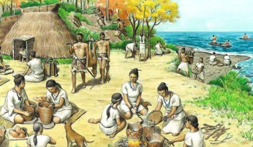 Agriculture and Food Production in Yayoi Period Japan - iNEWS