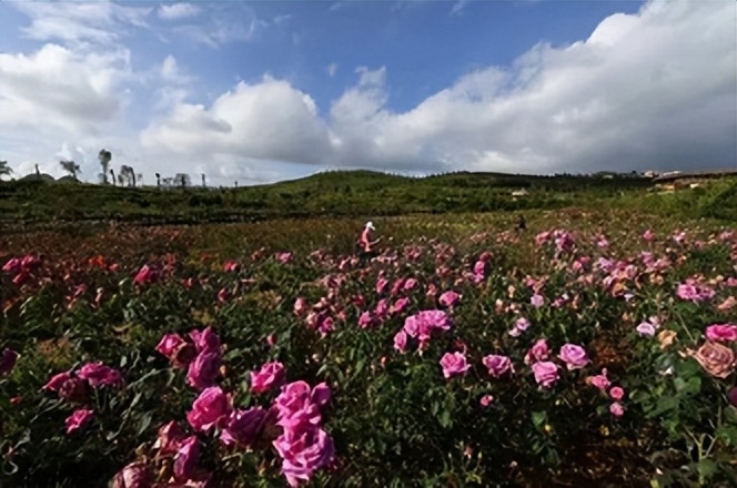"Fuyuan chapter" of supplementary tour around Kunming (4) - iMedia