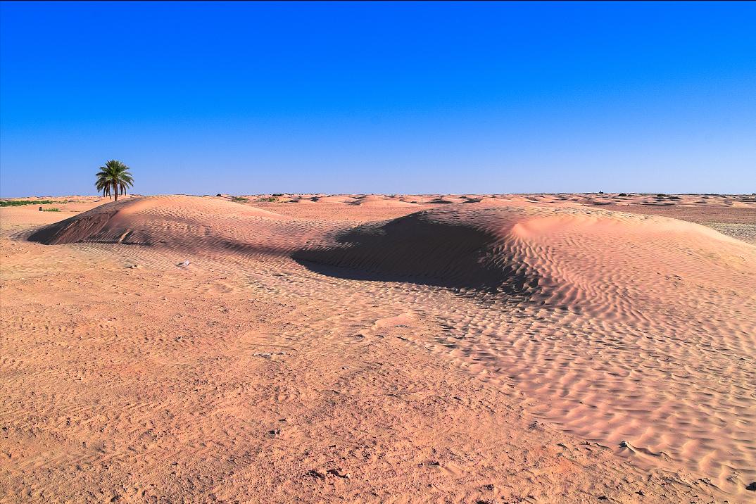 Chad in 1659: Transcontinental Trade Networks and Socioeconomic ...