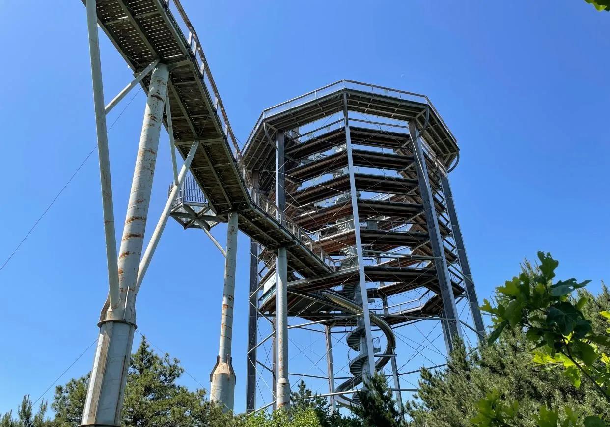 Treetop Walk Travel Notes - iNEWS