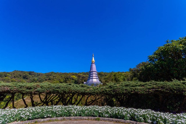 A constellation with a bottom line and a mature personality - iNEWS