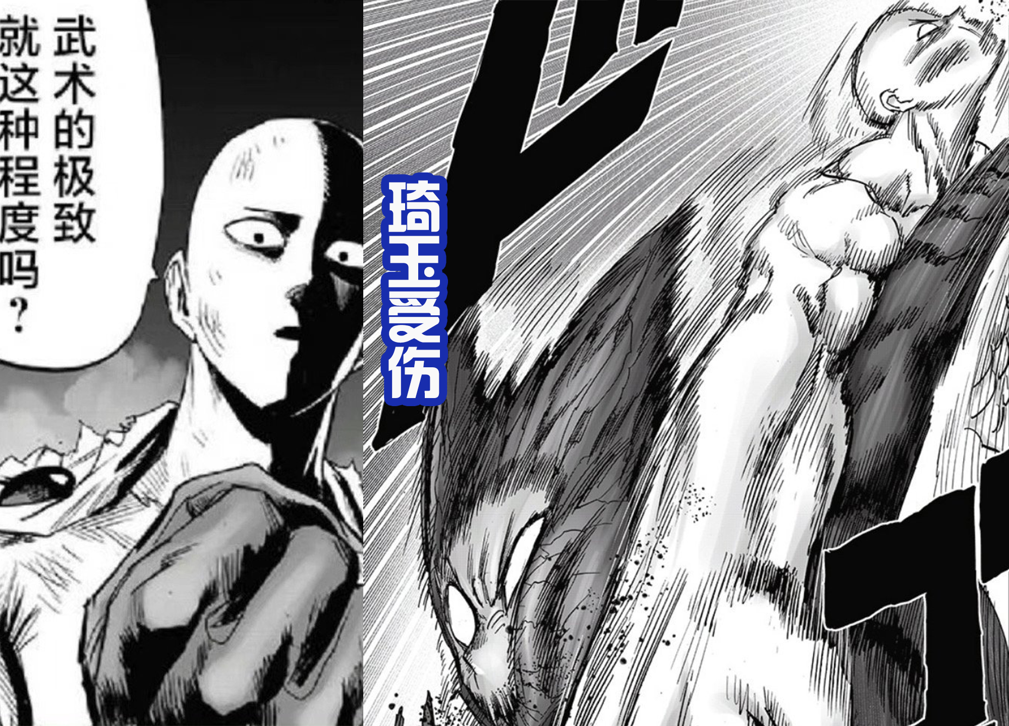 Why did One Punch Man change its name to Legend of the Furious Wolf ...