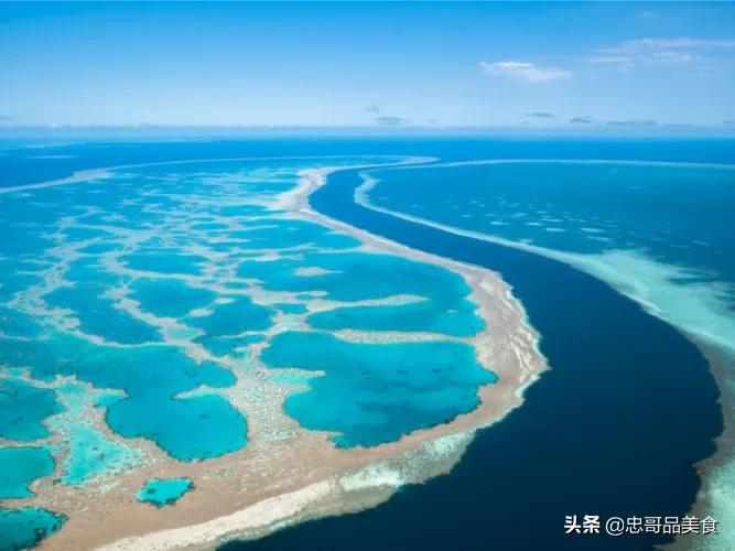 Covering an area of 4.79 million square kilometers, it is the largest ...