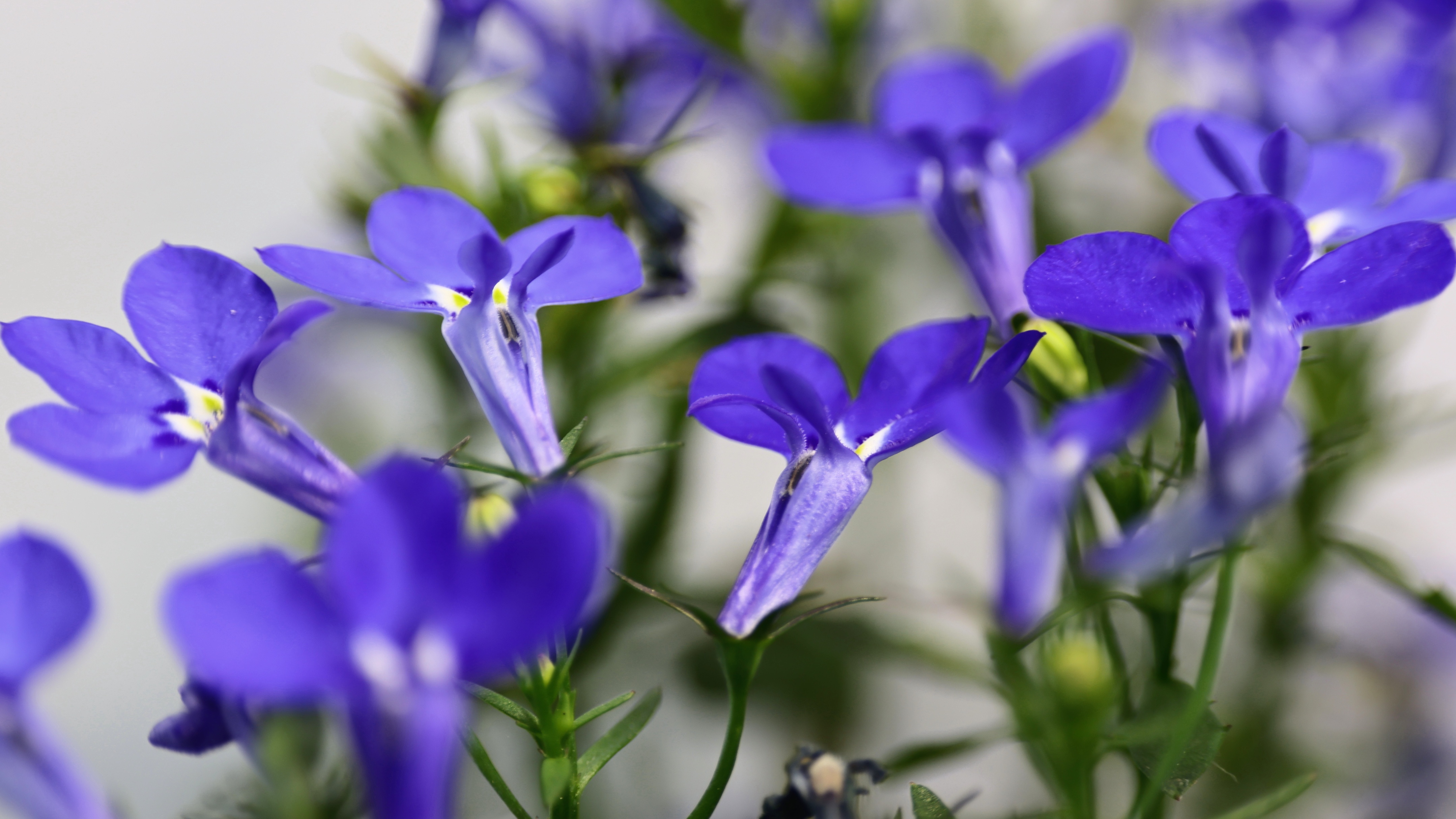 Six times the profit helps you earn six times the profit - iMedia