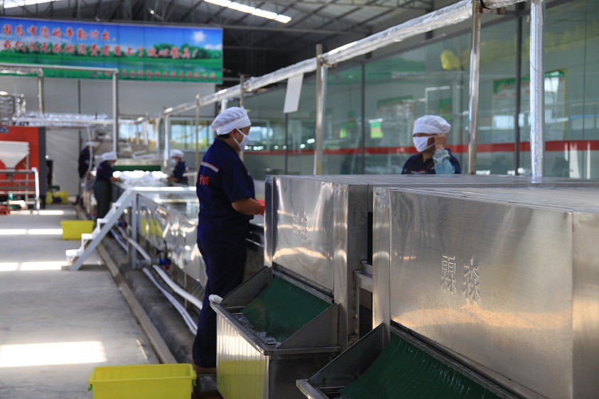 How Assembly Line Dishwashers and Ultrasonic Dishwashers Work - iNEWS