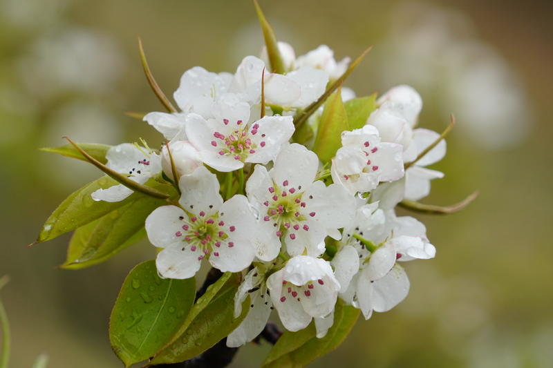 The most terrifying thing in a family is not poverty, but internal ...