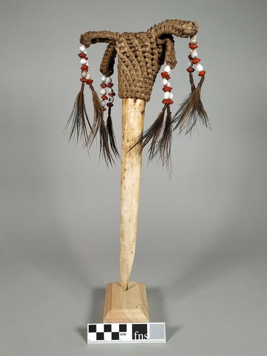 A weapon with a very indigenous flavor - a killing bird dagger, with ...