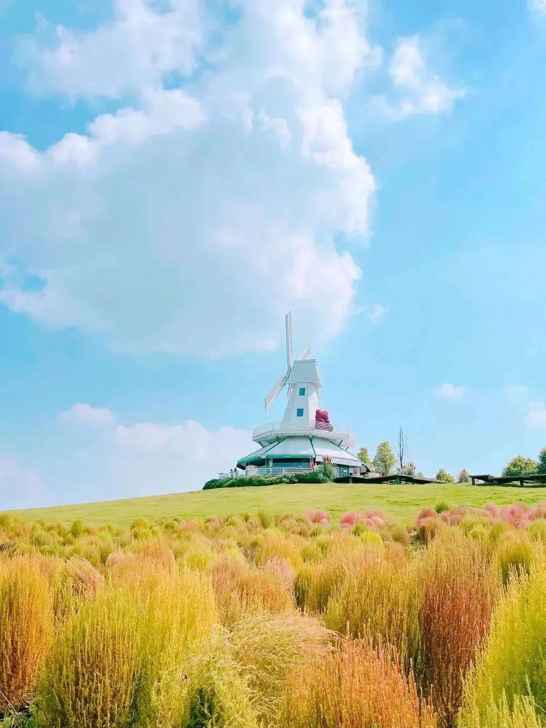 Romantic pastoral, thousand-year-old town... Qingbaijiang National Day ...