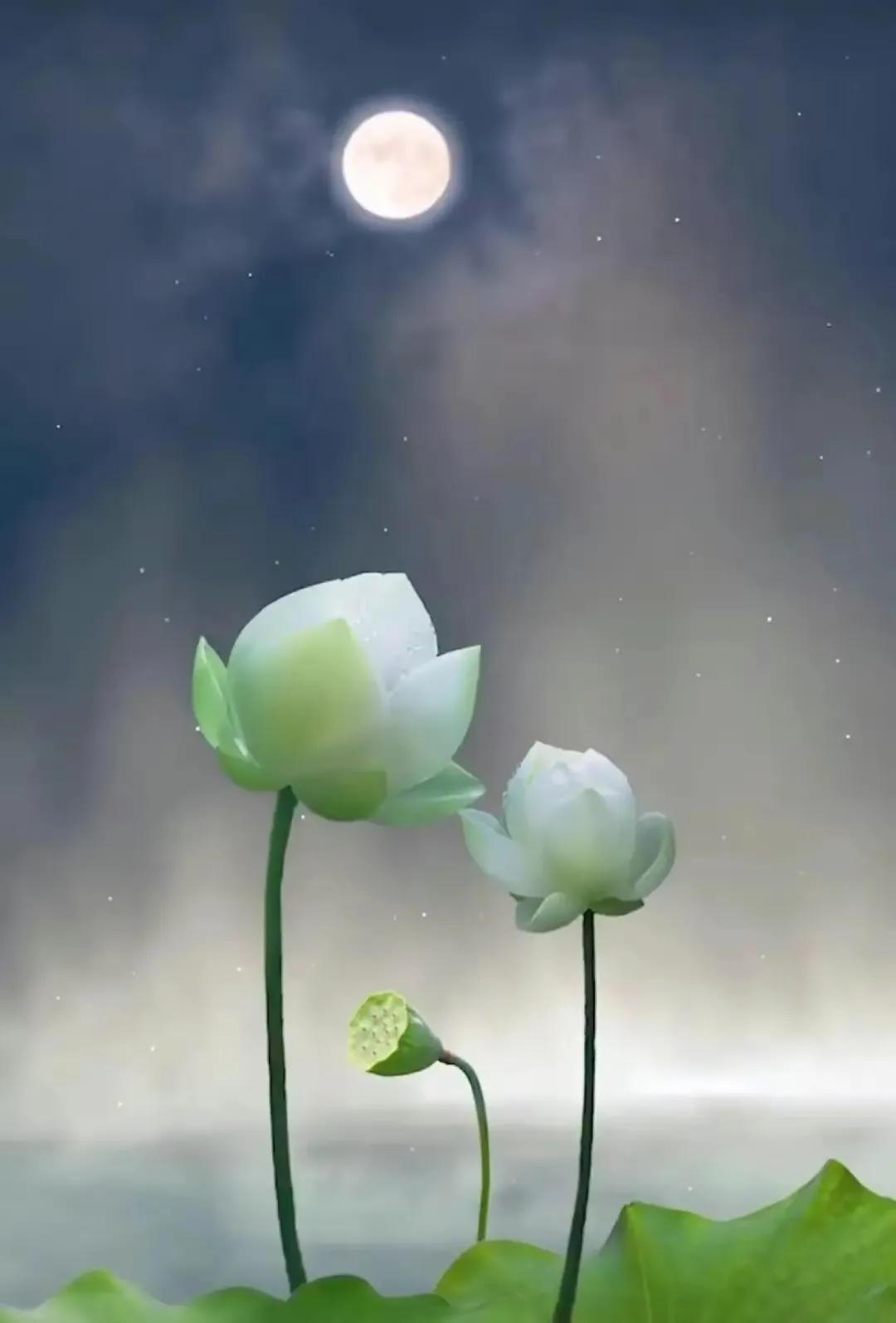 Meng Haoran: A poem not only expresses the meaning of Zen, but also is ...