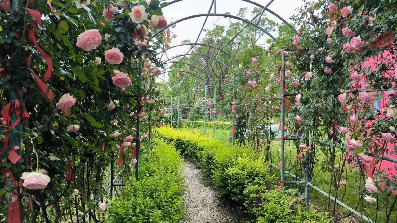 Fireworks meets idyllic poetry, Caidian District's latest check-in ...