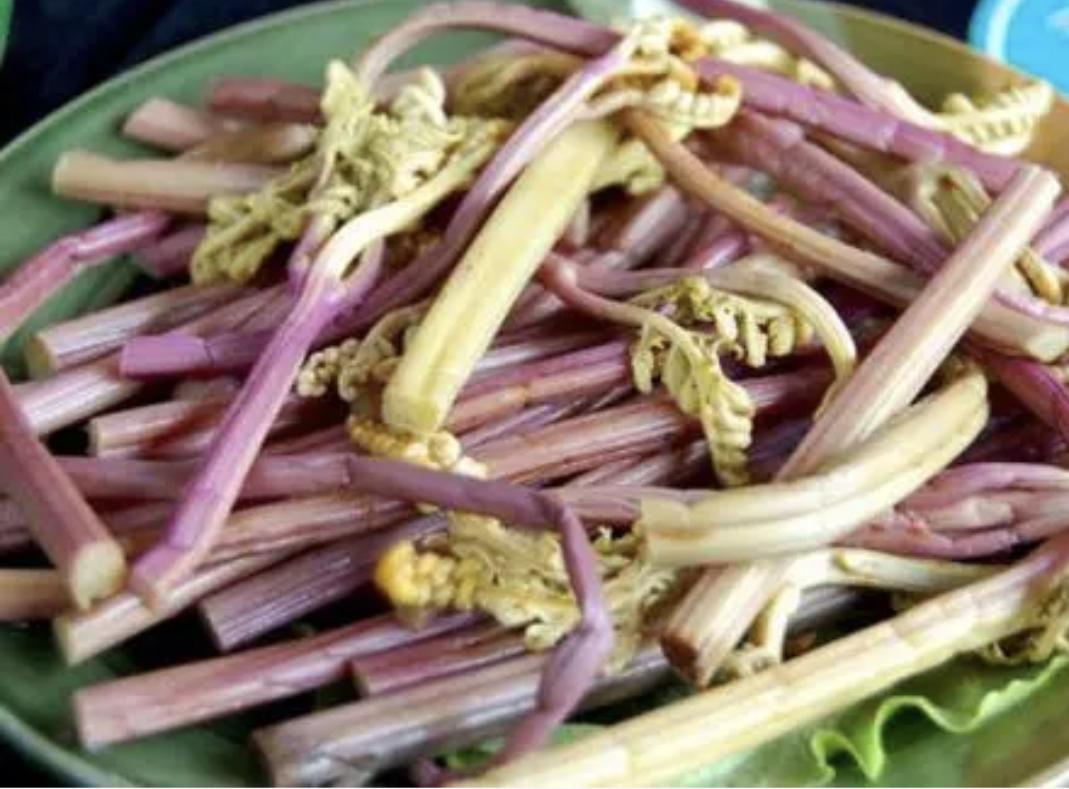 wild vegetables in spring - iNEWS