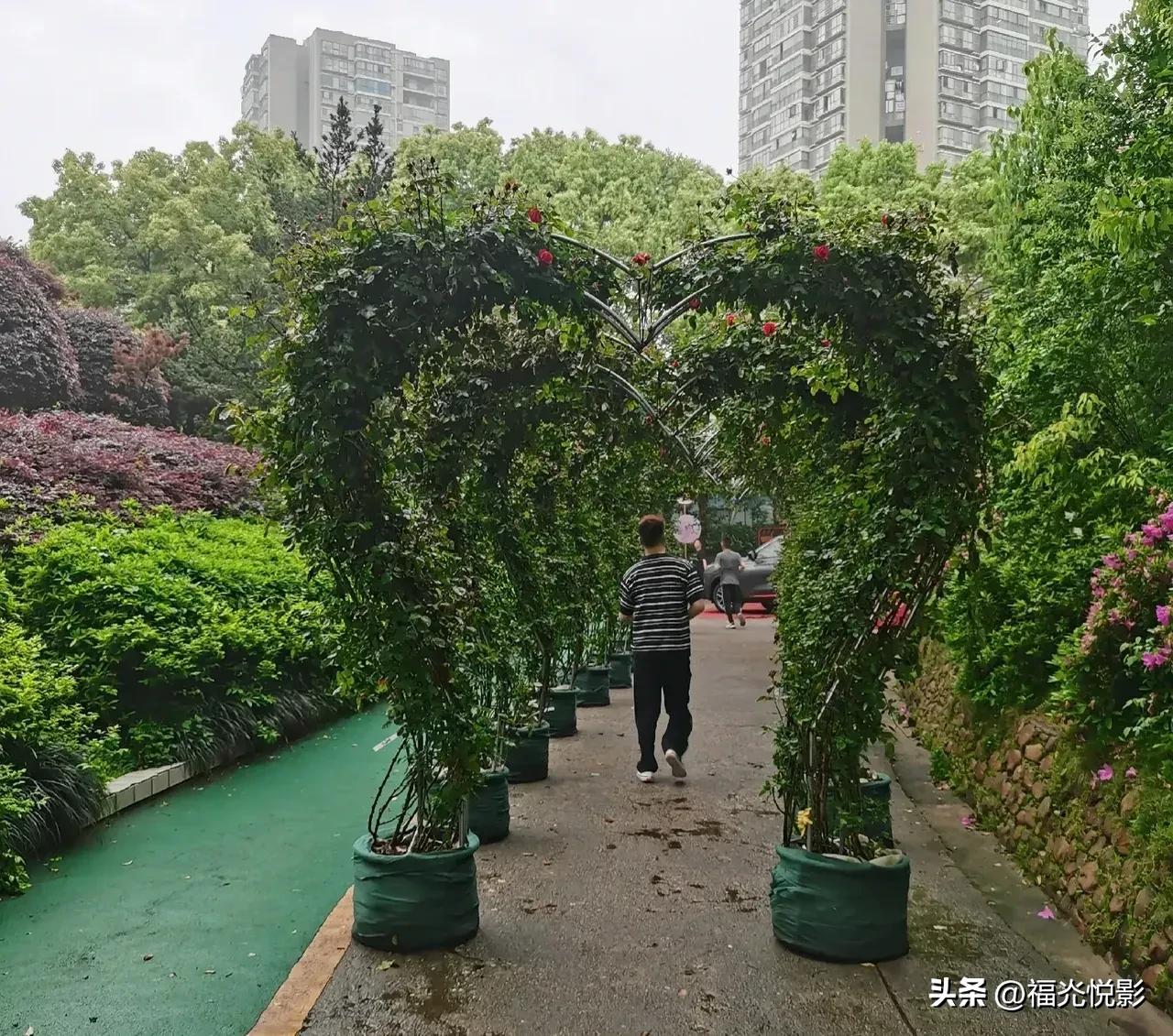 Shima Flower Show, a beautiful city - iNEWS