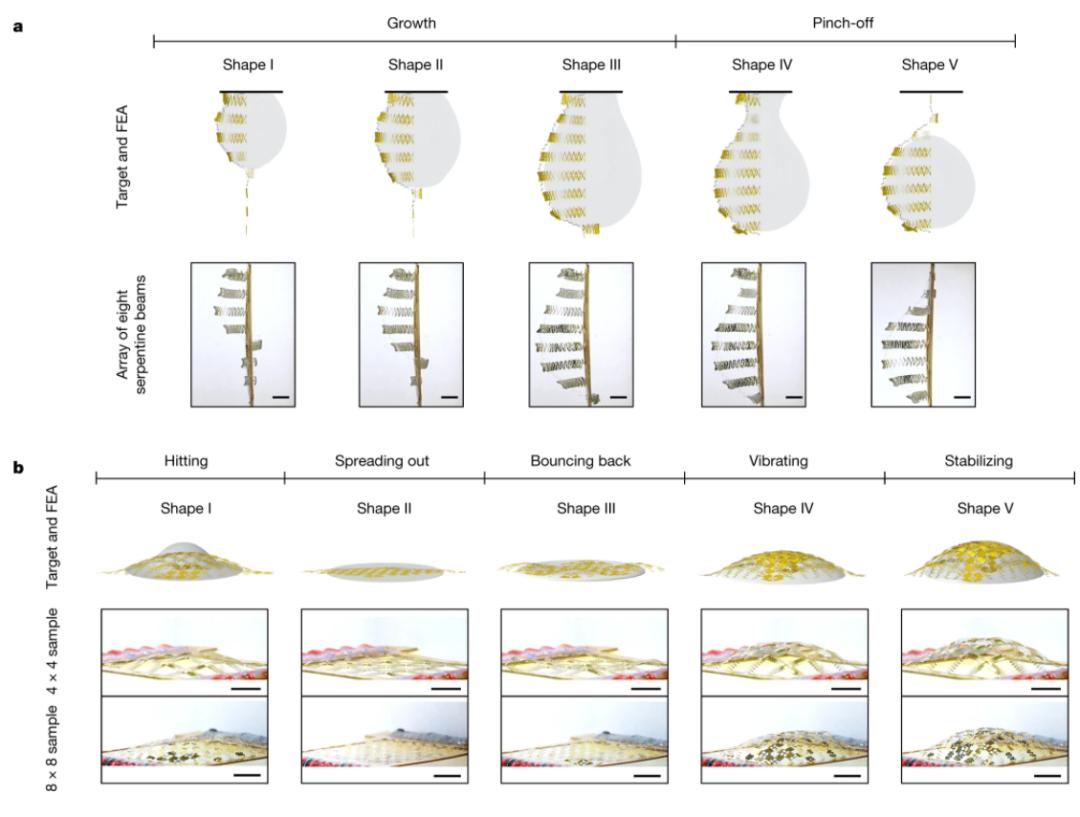 Scientists create dynamically reprogrammable surfaces for flexible ...