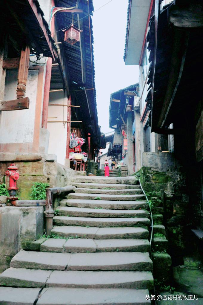 Enjoy the scenery of the fields and taste the latest lychees in Hejiang ...