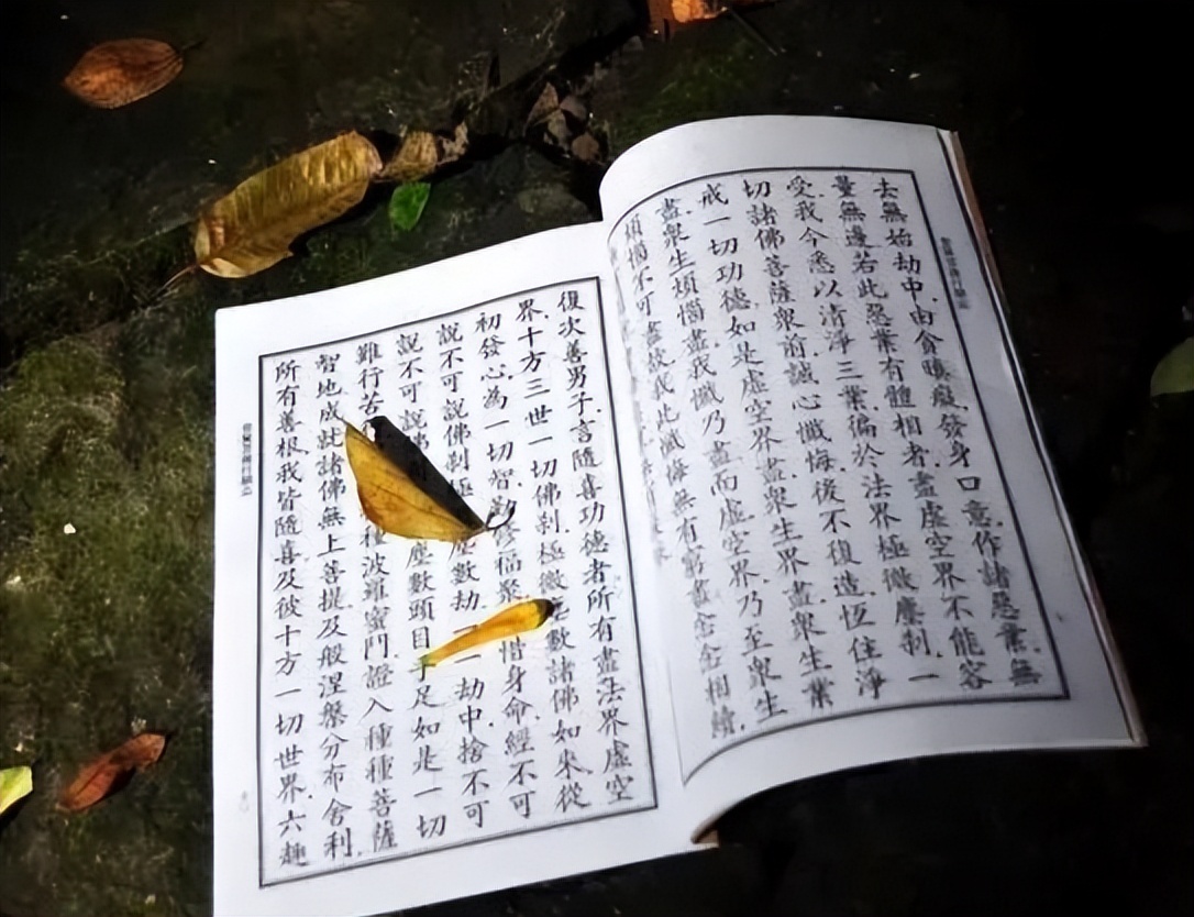 Why not recite Buddhist scriptures? - iNEWS