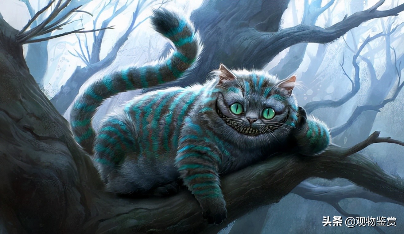 What does a Cheshire cat's laugh mean, what kind of cat is a Cheshire ...