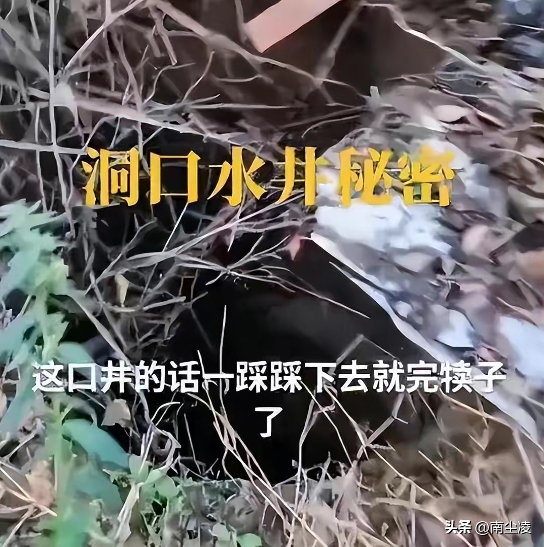 Hu Xinyu's mother's latest voice, revealing despair, intriguing, and a ...
