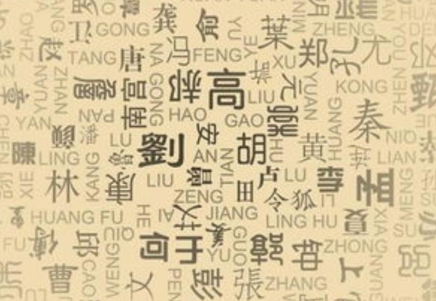 The Wang and Li surnames with the largest population in China, one ...